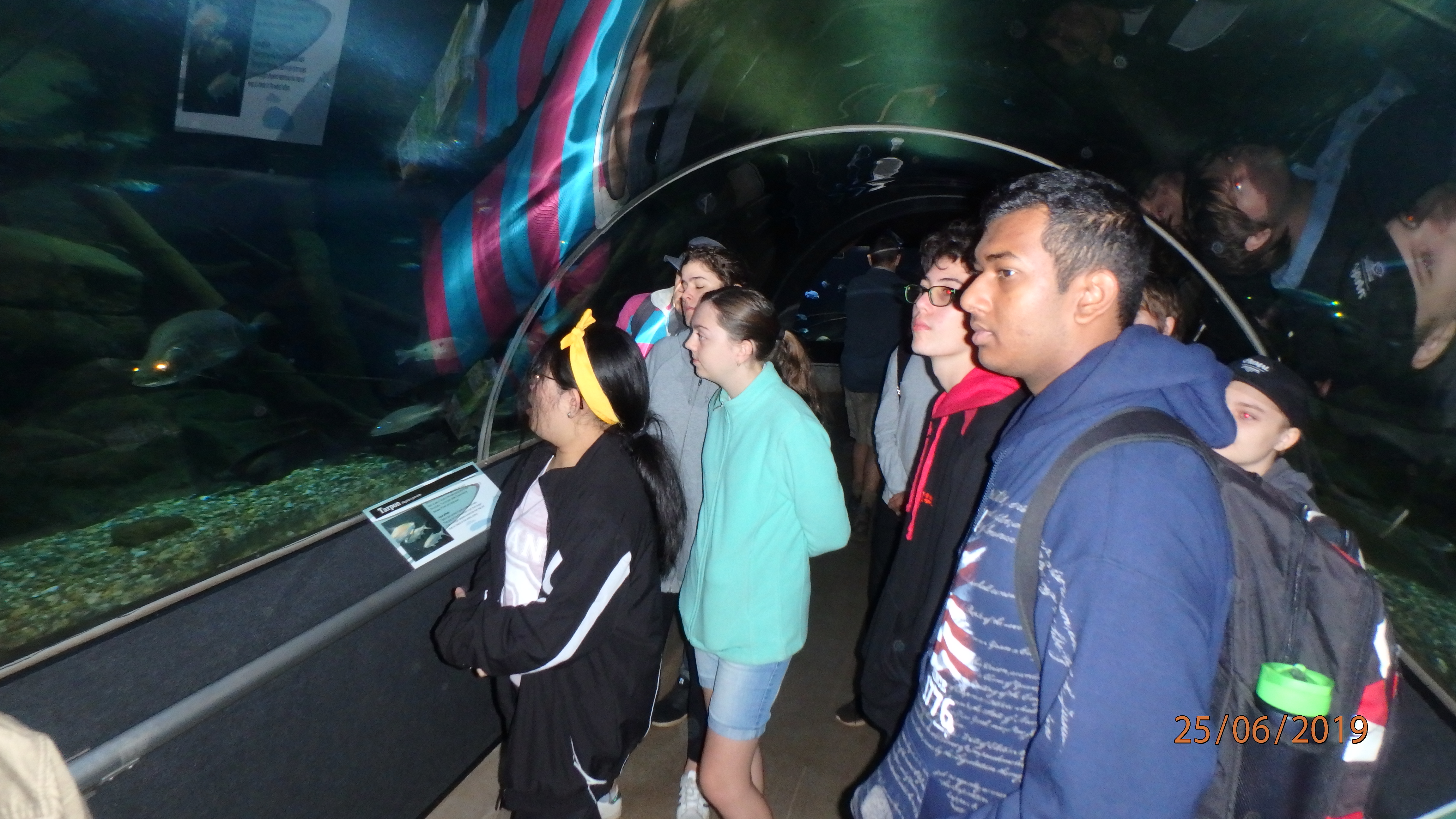 C4E Territory Wildlife Park Camp